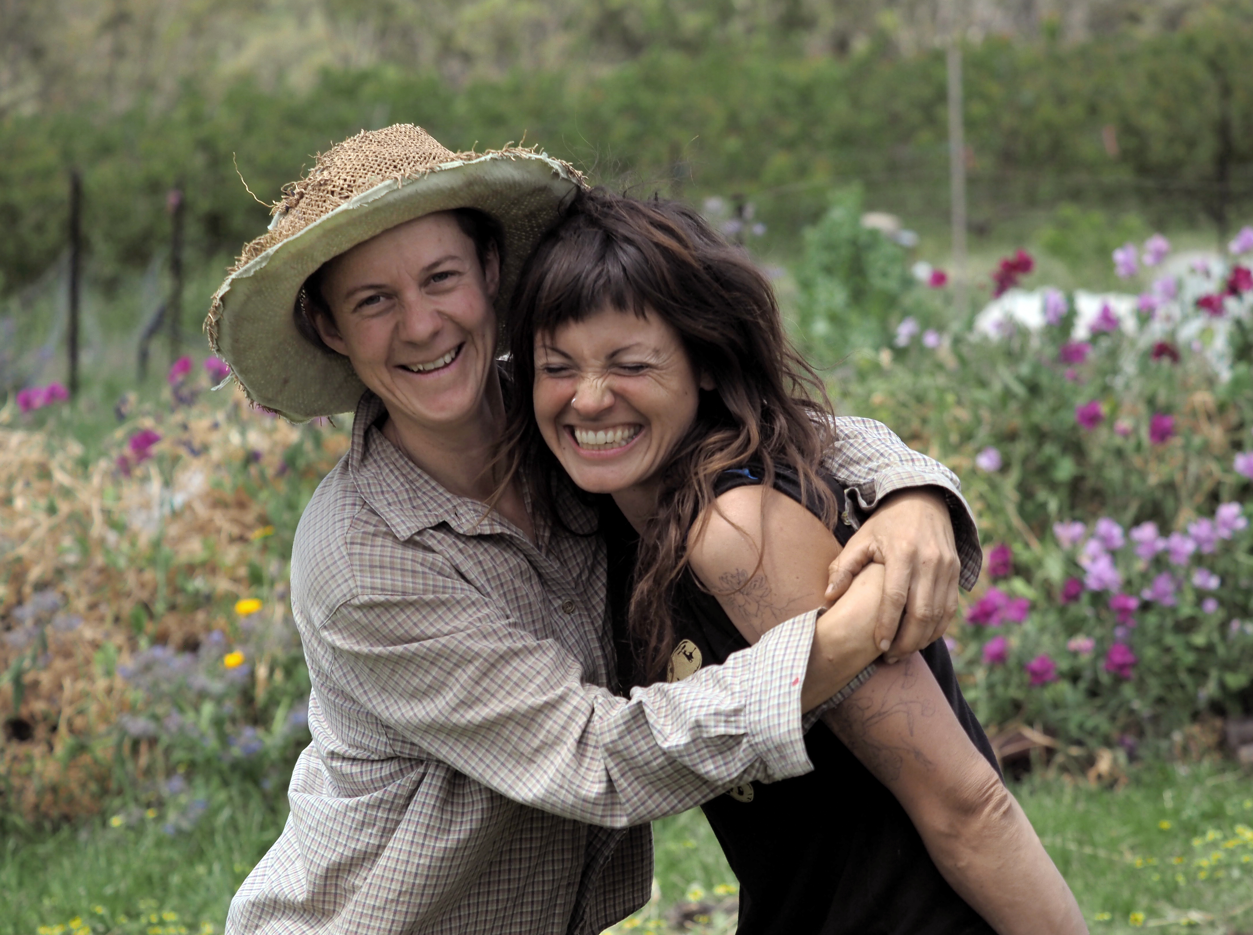 Characteristics of a Tree Guild - Permablitz Melbourne