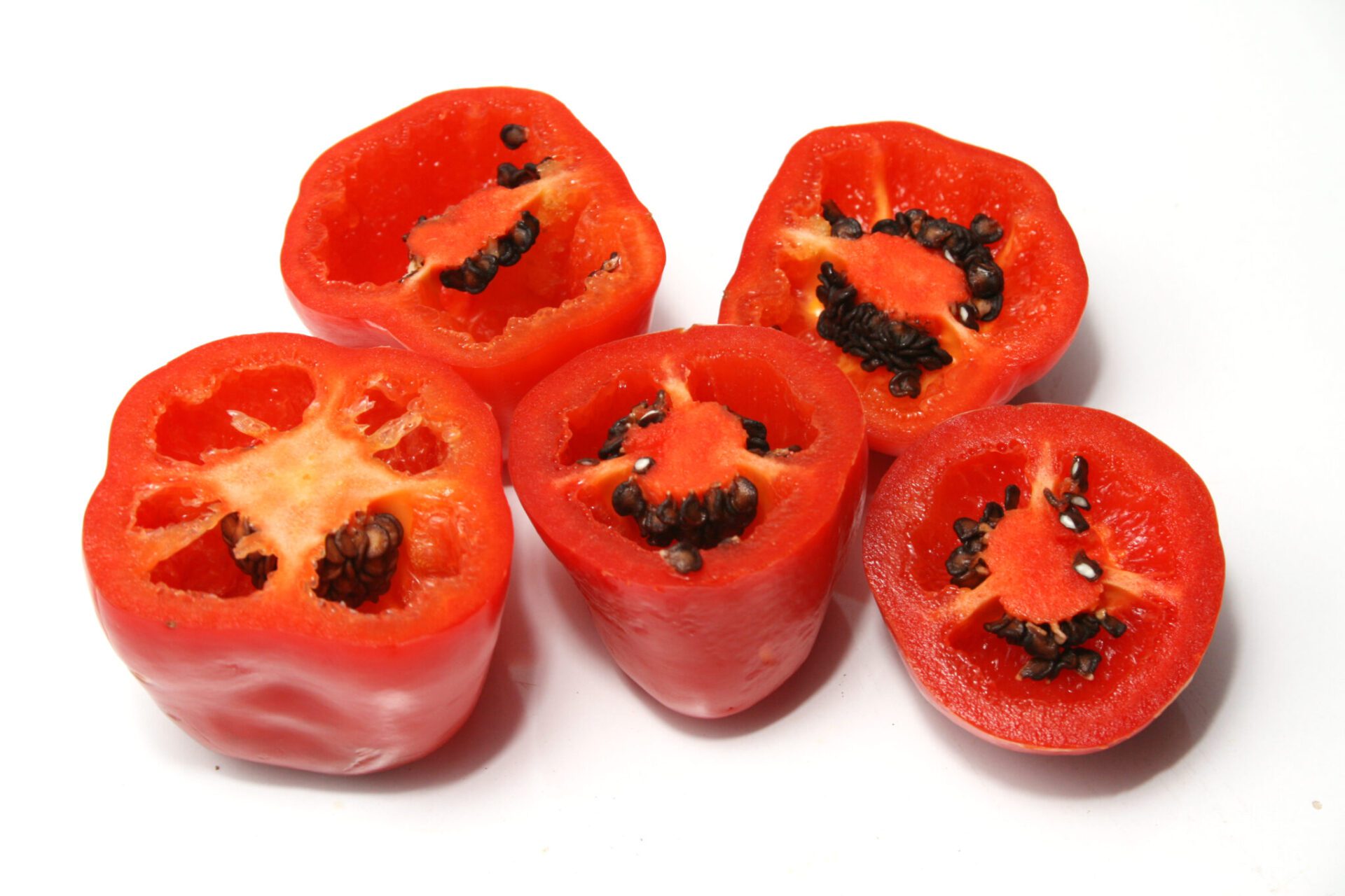 Rocoto Tree Chilli - Permablitz Melbourne