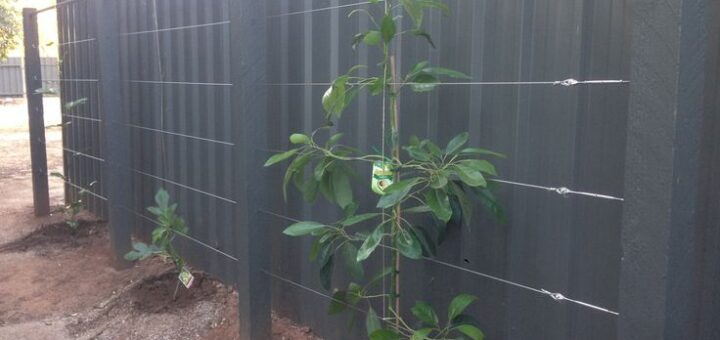 How To - Permablitz Melbourne