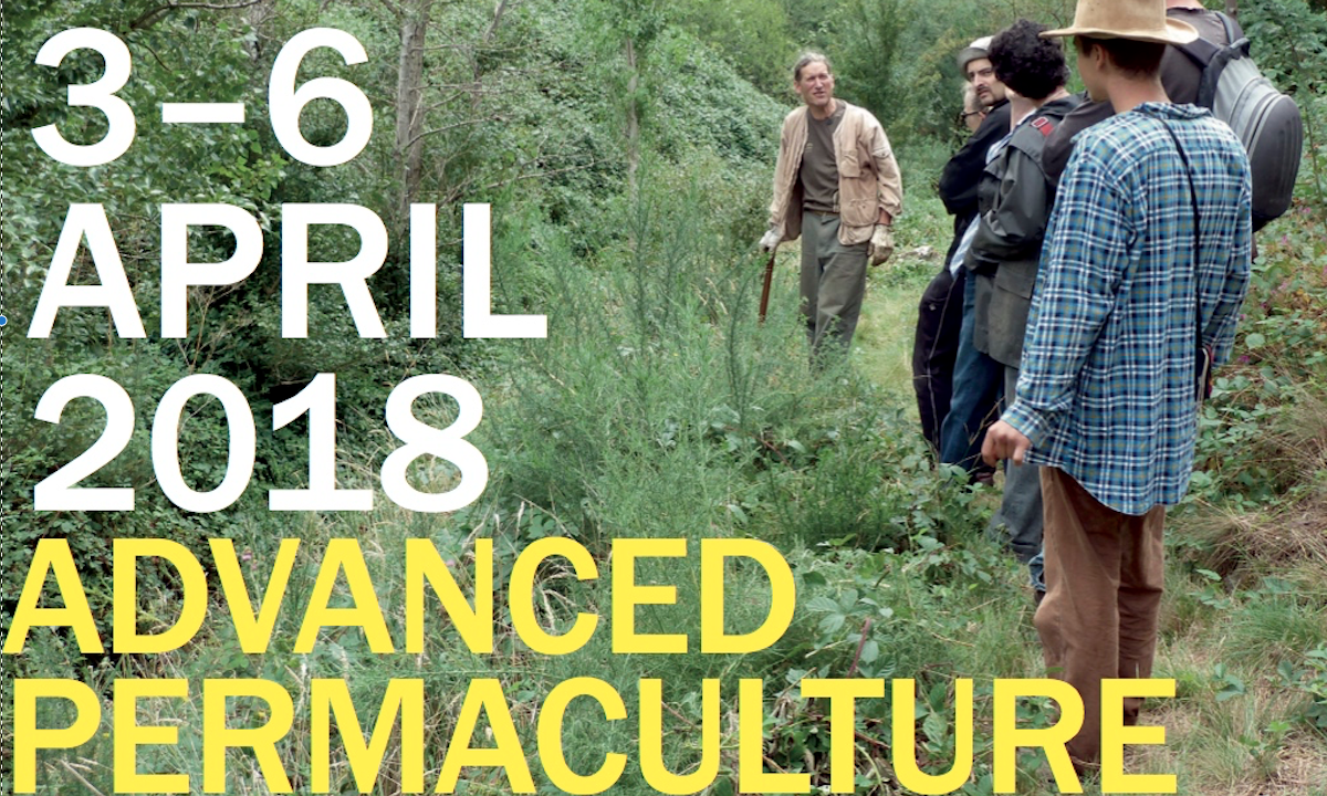 Advanced Permaculture Planning + Design Process with David Holmgren and ...