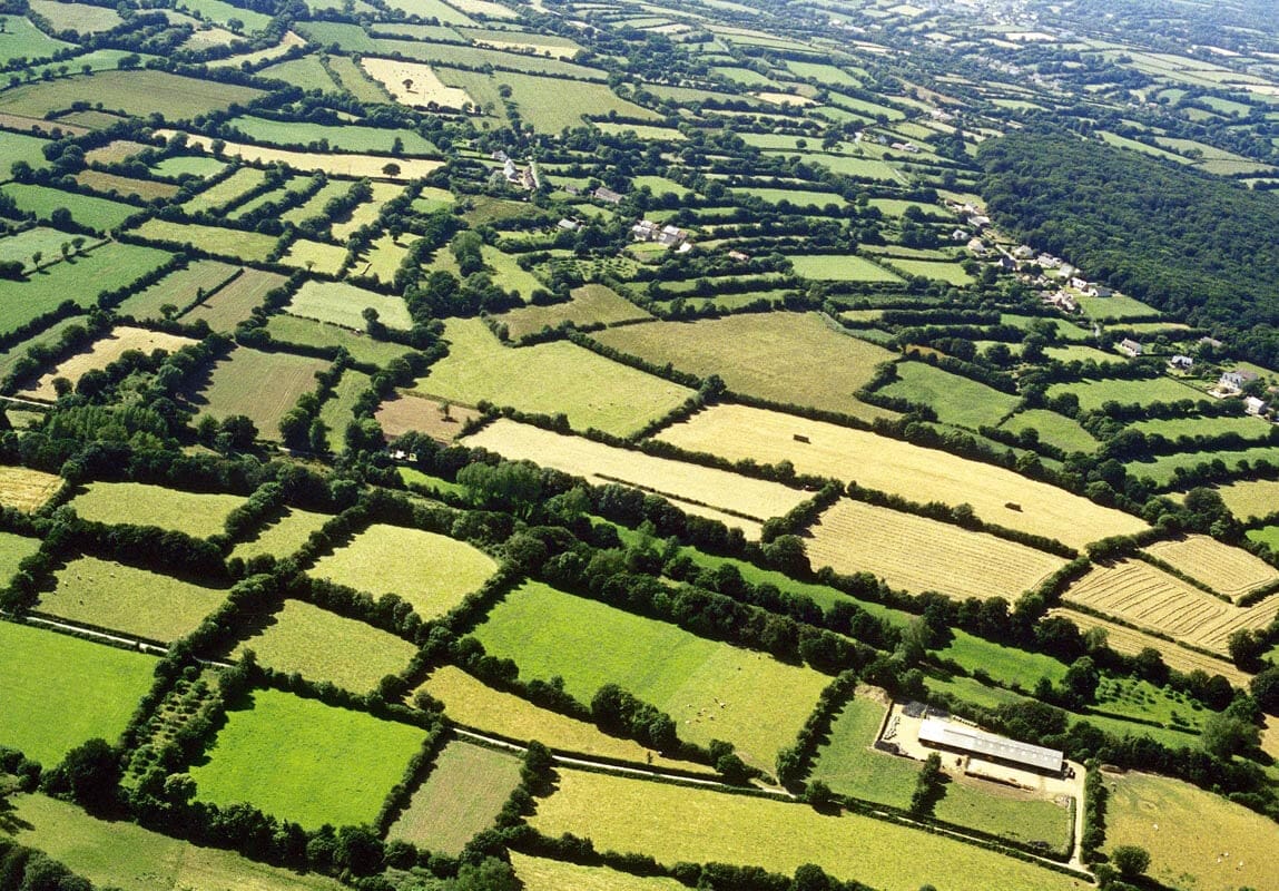 The power of trees - Agroforestry - Permablitz Melbourne
